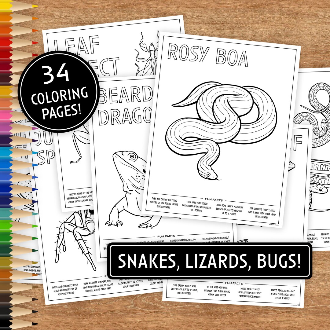 34 Printable Coloring Pages, Snakes & Lizards, Coloring Pages for Kids ...