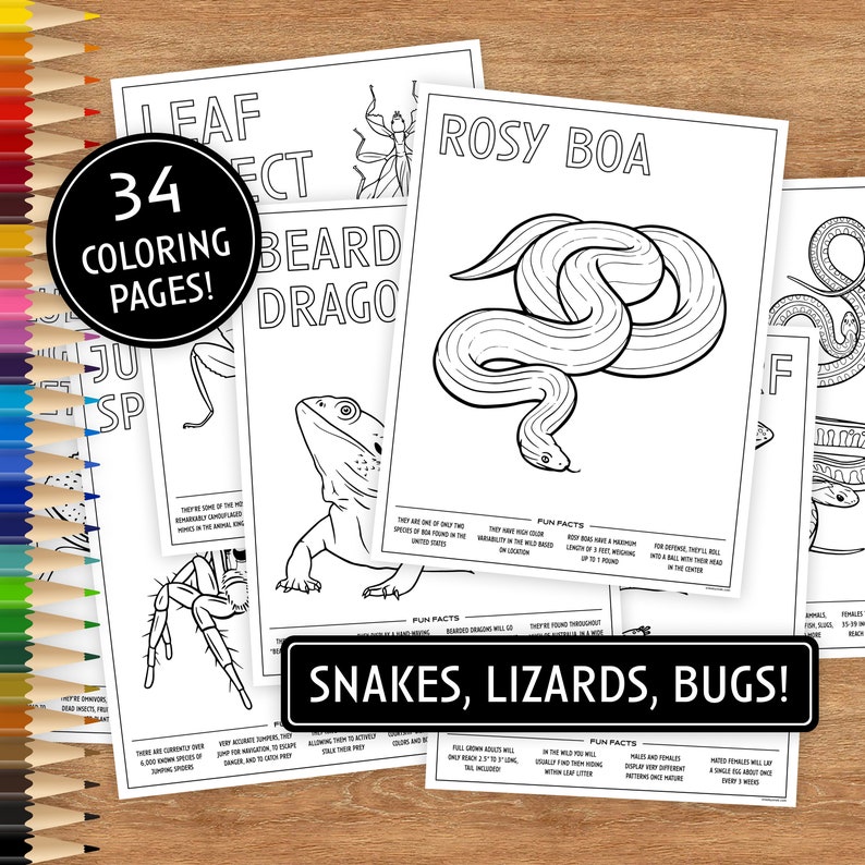 Snakes, Lizards, & Bugs Coloring Pages With Fun Facts - 34 Printable ...