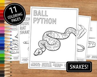 Burmese Python Coloring Pages