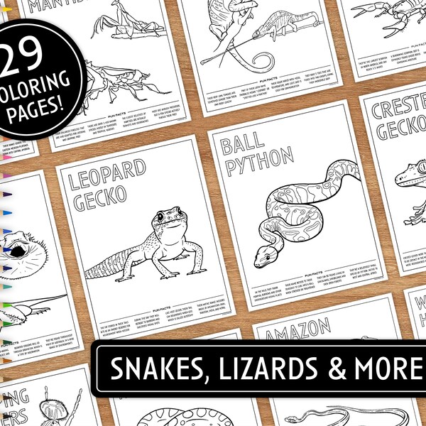 Coloring Pages - Etsy