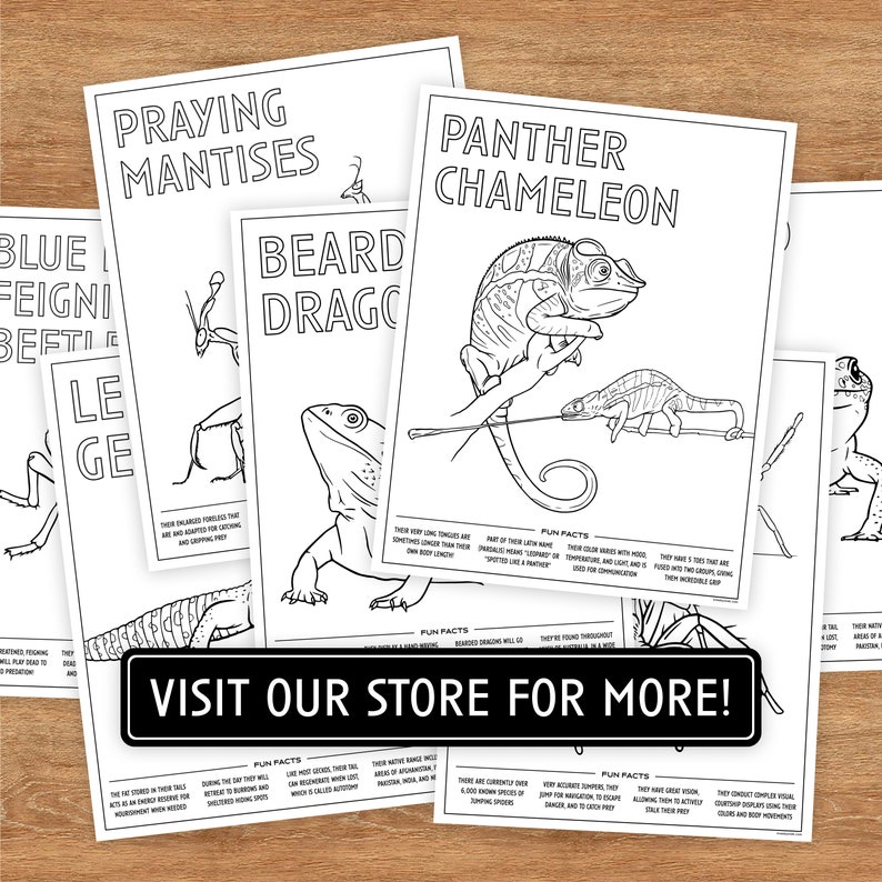 12 Printable Coloring Pages, Snakes With Fun Facts, Coloring Pages for ...