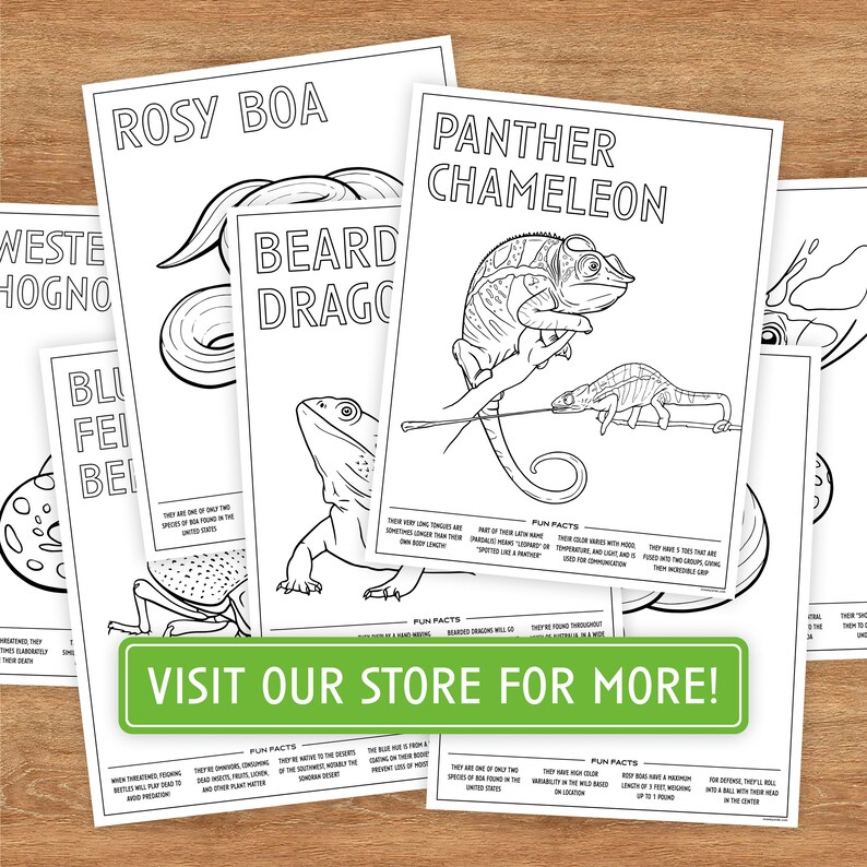 Lizards Coloring Page - Printable Activity Placemat (digital Download ...