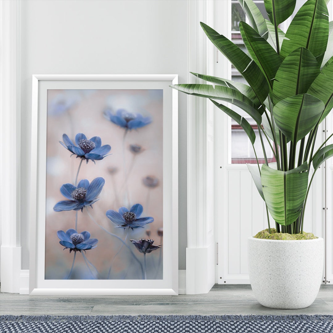 Cosmos Canvas Prints Flower Wall Art for Living Room, Canvas Wall Decor ...