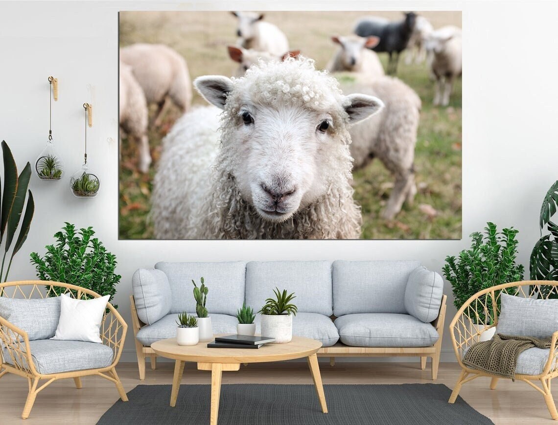Sheep Large Canvas - Etsy