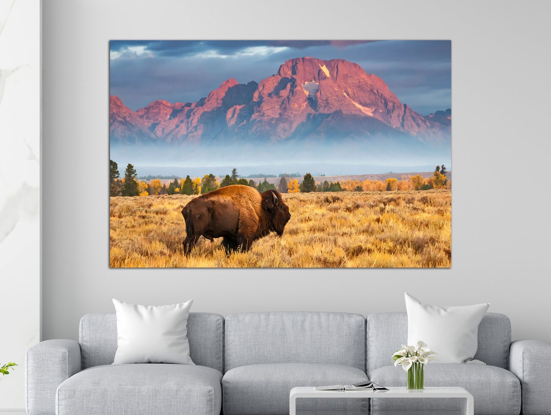 North American Bison Wall Art Buffalo Wall Art Bison Grand Teton ...