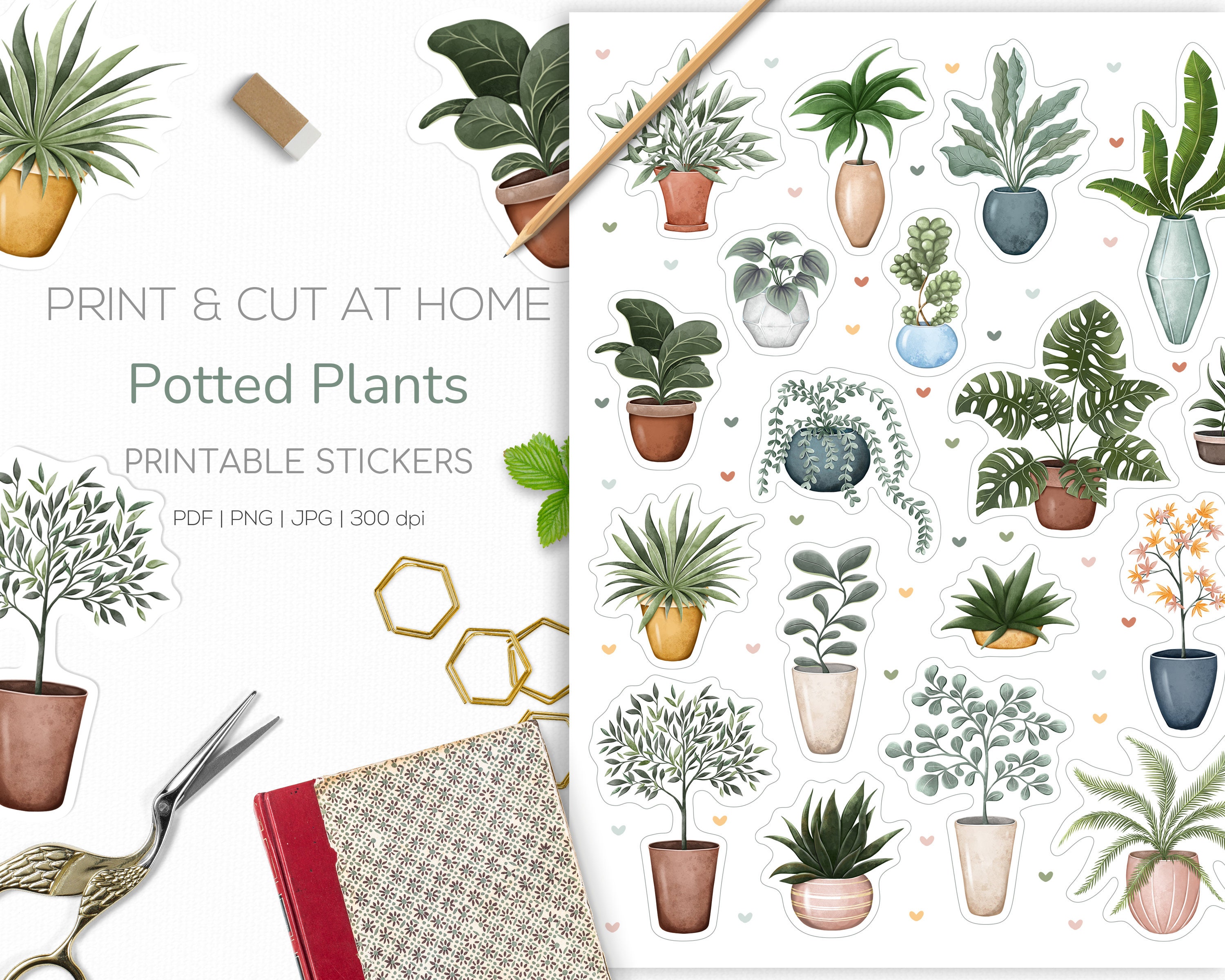 Potted Plants Sticker Sheet Floral Planner Stickers Bullet - Etsy