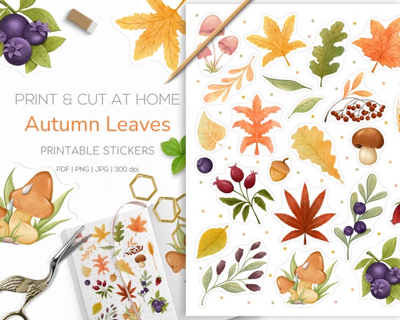 Autumn Leaves Printable Sticker Sheet Cute Autumn Planner | Etsy