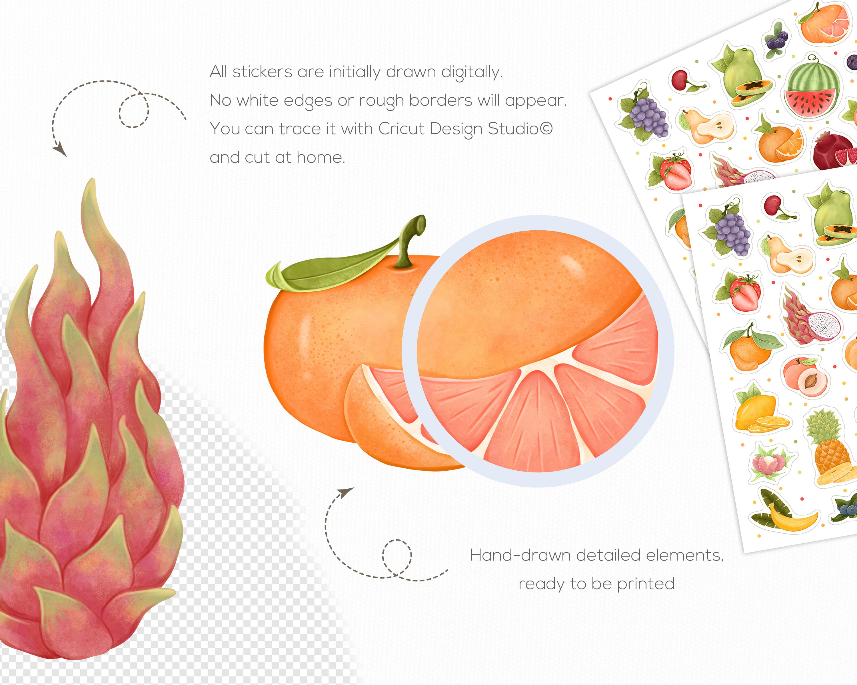 Exotic Fruit Sticker Sheet Printable Healthy Food Planner - Etsy