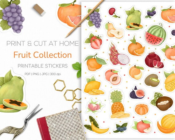 Exotic Fruit Sticker Sheet Printable Healthy Food Planner - Etsy