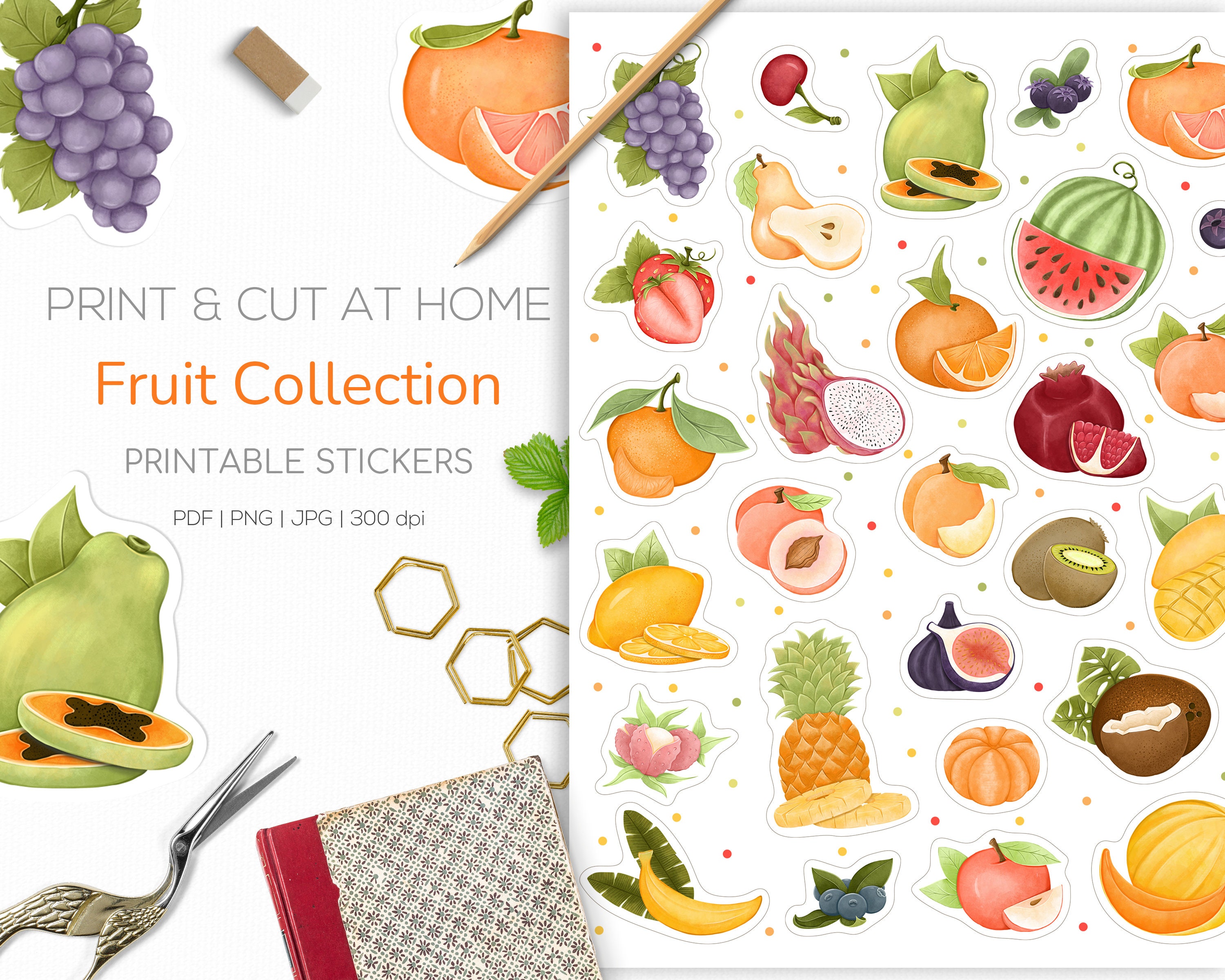 Exotic Fruit Sticker Sheet Printable Healthy Food Planner - Etsy