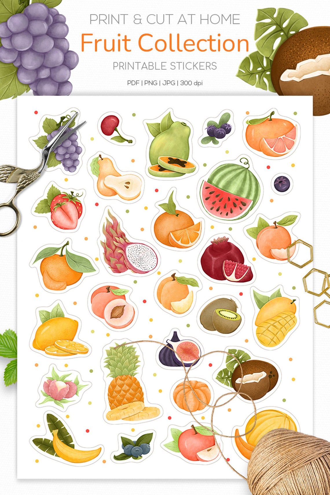 Exotic Fruit Sticker Sheet Printable Healthy Food Planner - Etsy