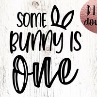 Bunny 1st Birthday Matching Family Png, Some Bunny is One Birthday Png ...