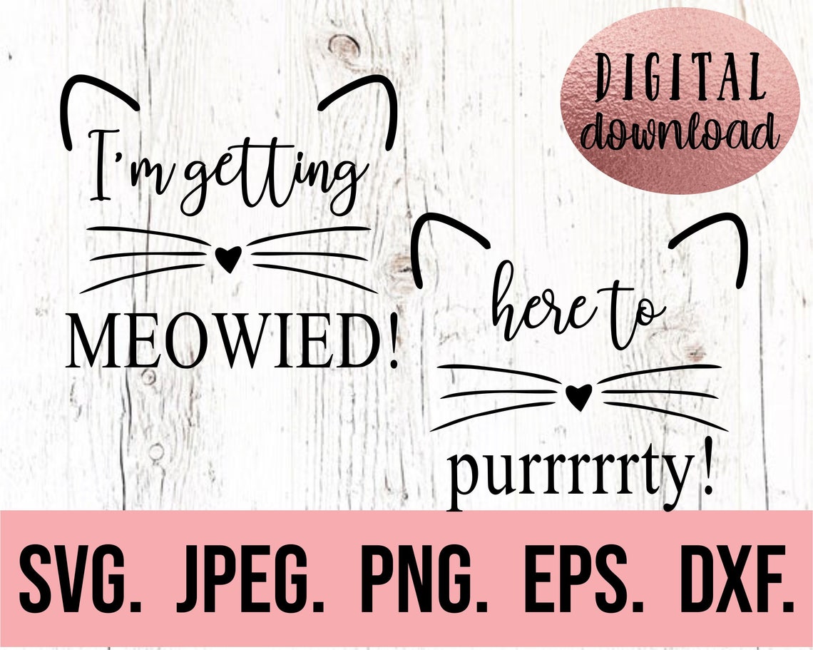 Im Getting Meowied Here to Purty SVG - Bride Png - Cat Bachelorette ...