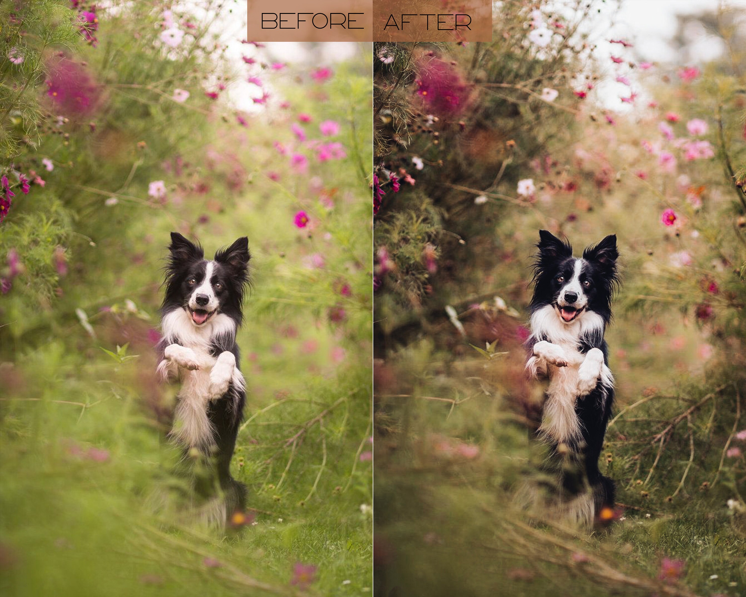 16 NATURE Lightroom Mobile & Desktop Presets Dark Mood - Etsy