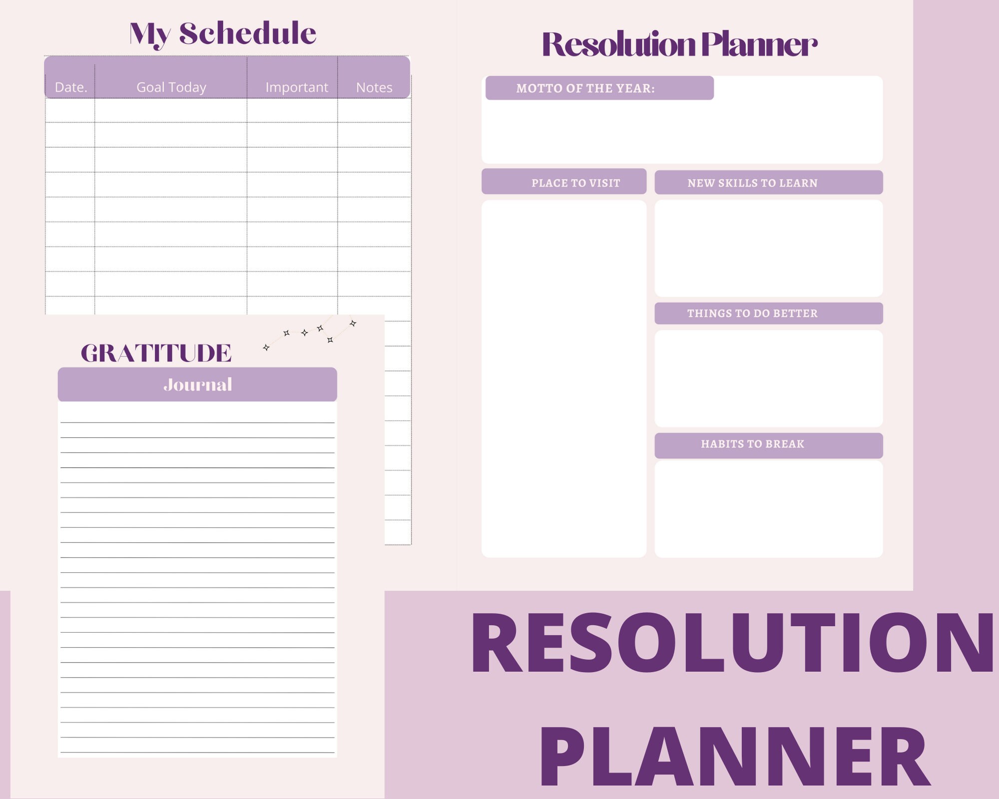 Resolution Printable, Resolution Planner, Resolution Template, Schedule ...