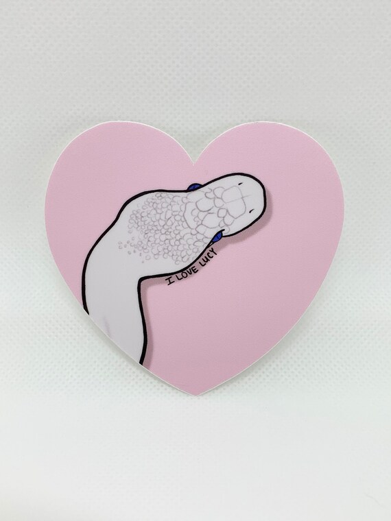 Lucy Leucistic Ball Python Heart Sticker I waterproof | Etsy