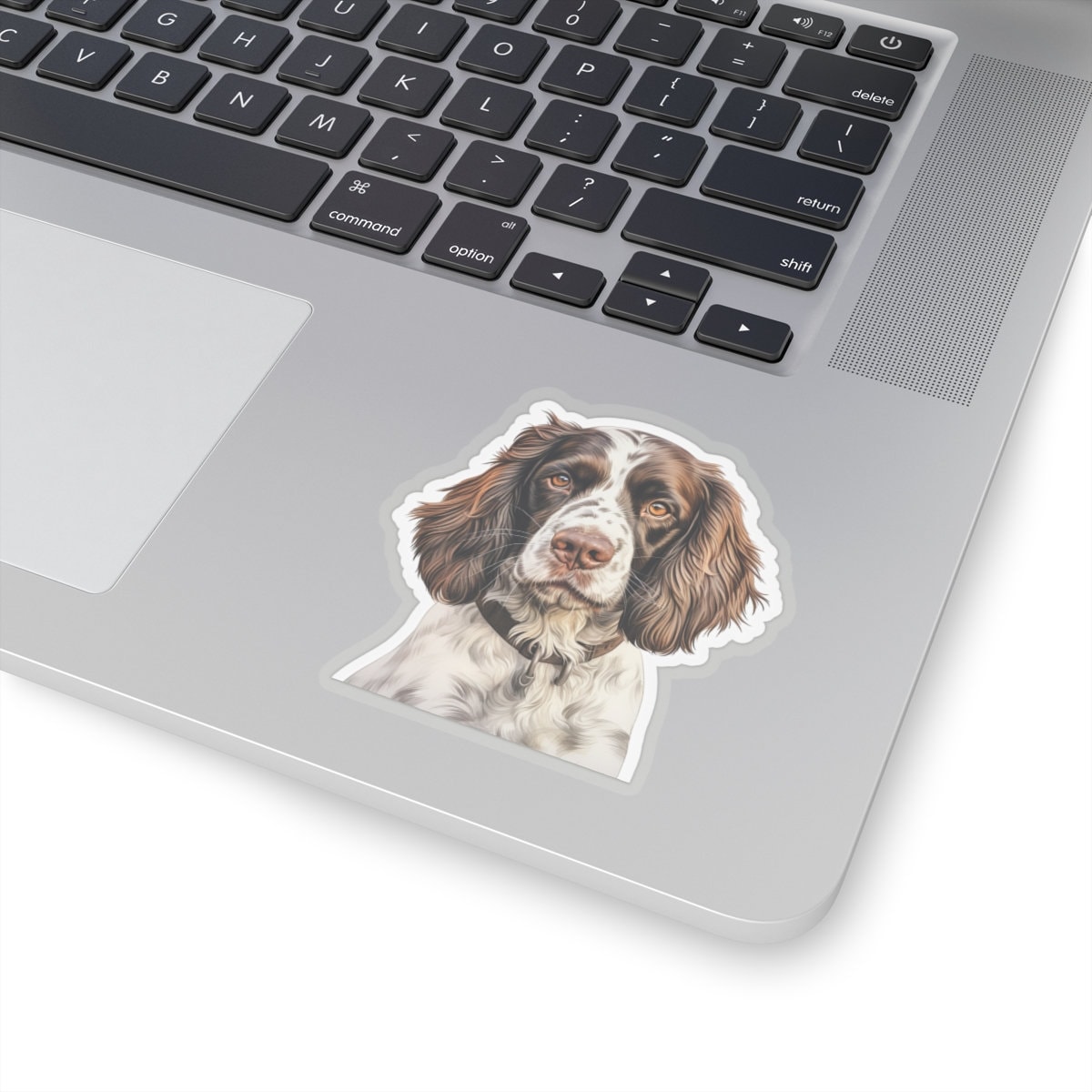 English Springer Spaniel Dog Sticker Vinyl - Etsy
