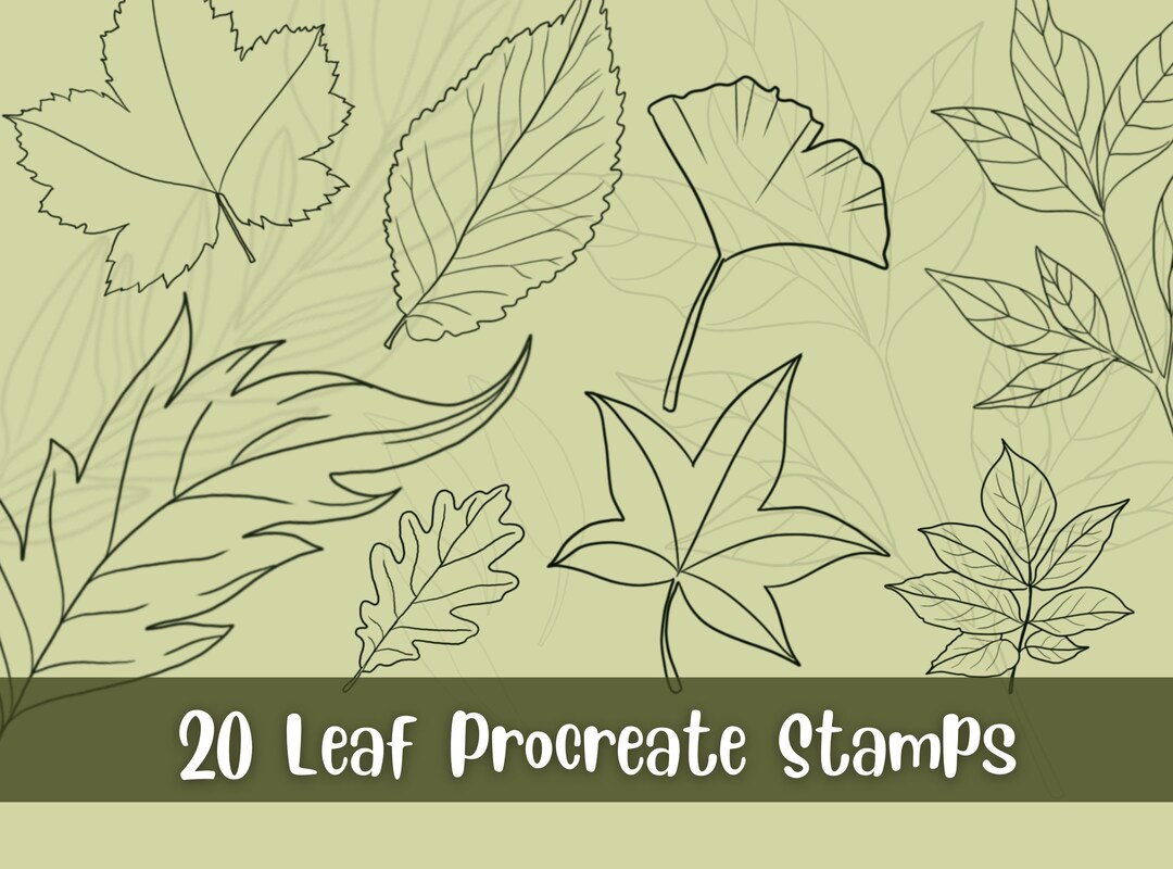 Procreate Leaves,leaf Procreate, Procreate Leaves, Procreate Brush, Botanical Stamps, Procreate ...