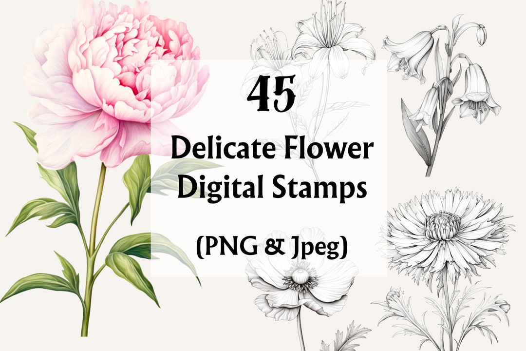 Delicate Flowers Outline Clipart, Delicate Flowers Procreate, Delicate ...