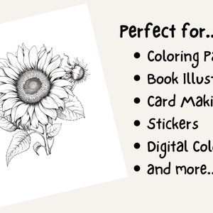 32 Realistic Sunflower Stamps, Sunflower Outline Png, Sunflower Png ...