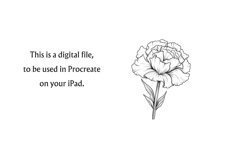 Carnation Procreate Stamp, Procreate Botanical Stamps, Procreate Flower ...