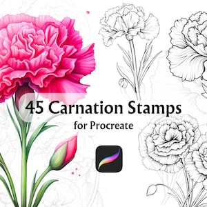 Carnation Procreate Stamp, Procreate Botanical Stamps, Procreate Flower ...