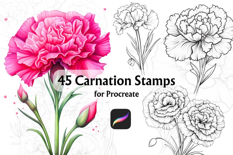 Carnation Procreate Stamp, Procreate Botanical Stamps, Procreate Flower ...