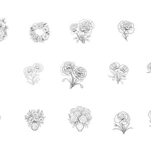 Carnation Procreate Stamp, Procreate Botanical Stamps, Procreate Flower ...
