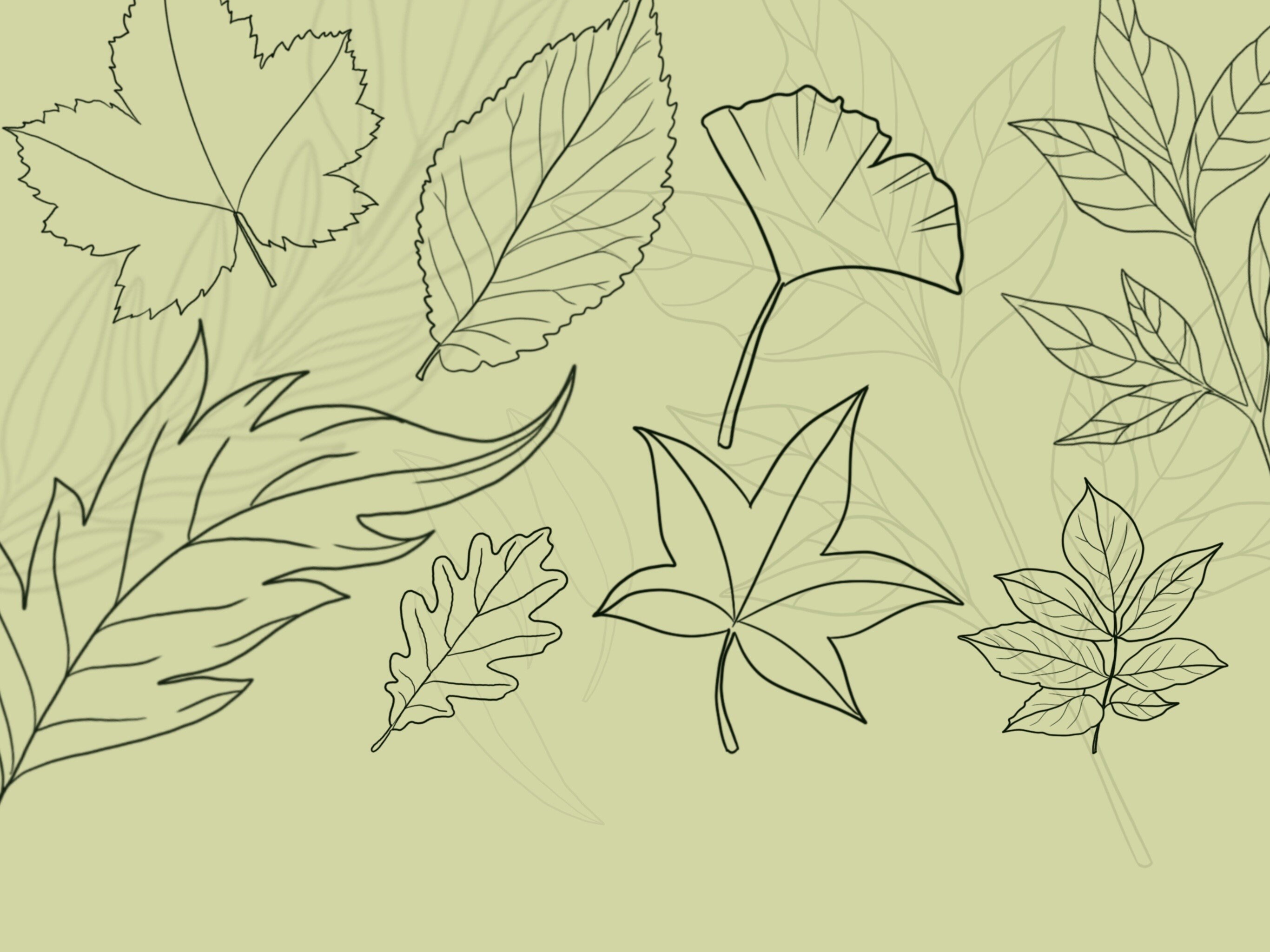 Procreate Leaves,leaf Procreate, Procreate Leaves, Procreate Brush ...