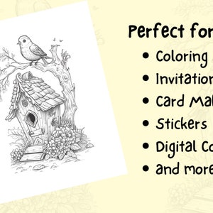 Cute Bird Digi Stamp, Procreate Stamp, Digi Stamp, Digital Stamp, Bird ...