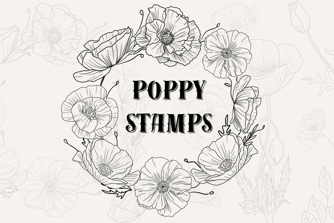 Flower Procreate, Poppies, Procreate Botanical Stamps, Procreate Stamps ...