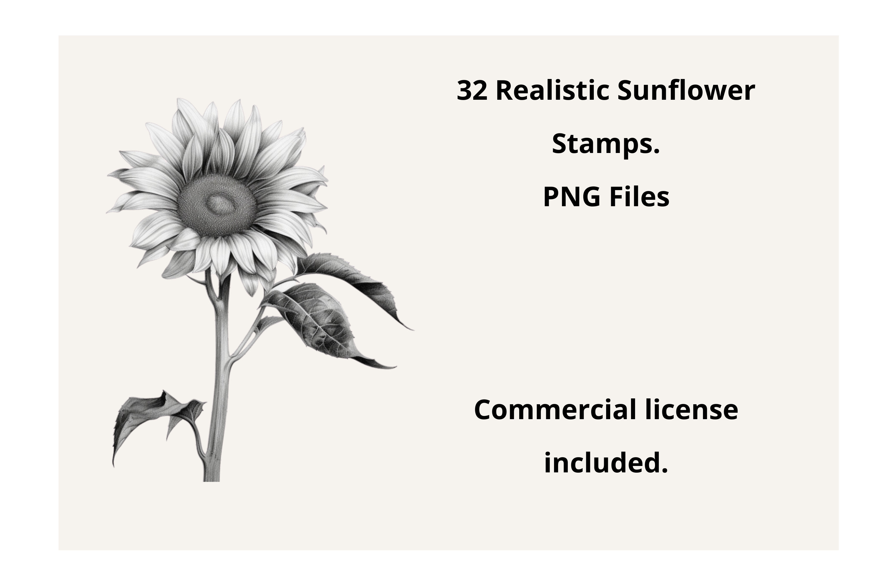32 Realistic Sunflower Stamps, Sunflower Outline Png, Sunflower Png ...