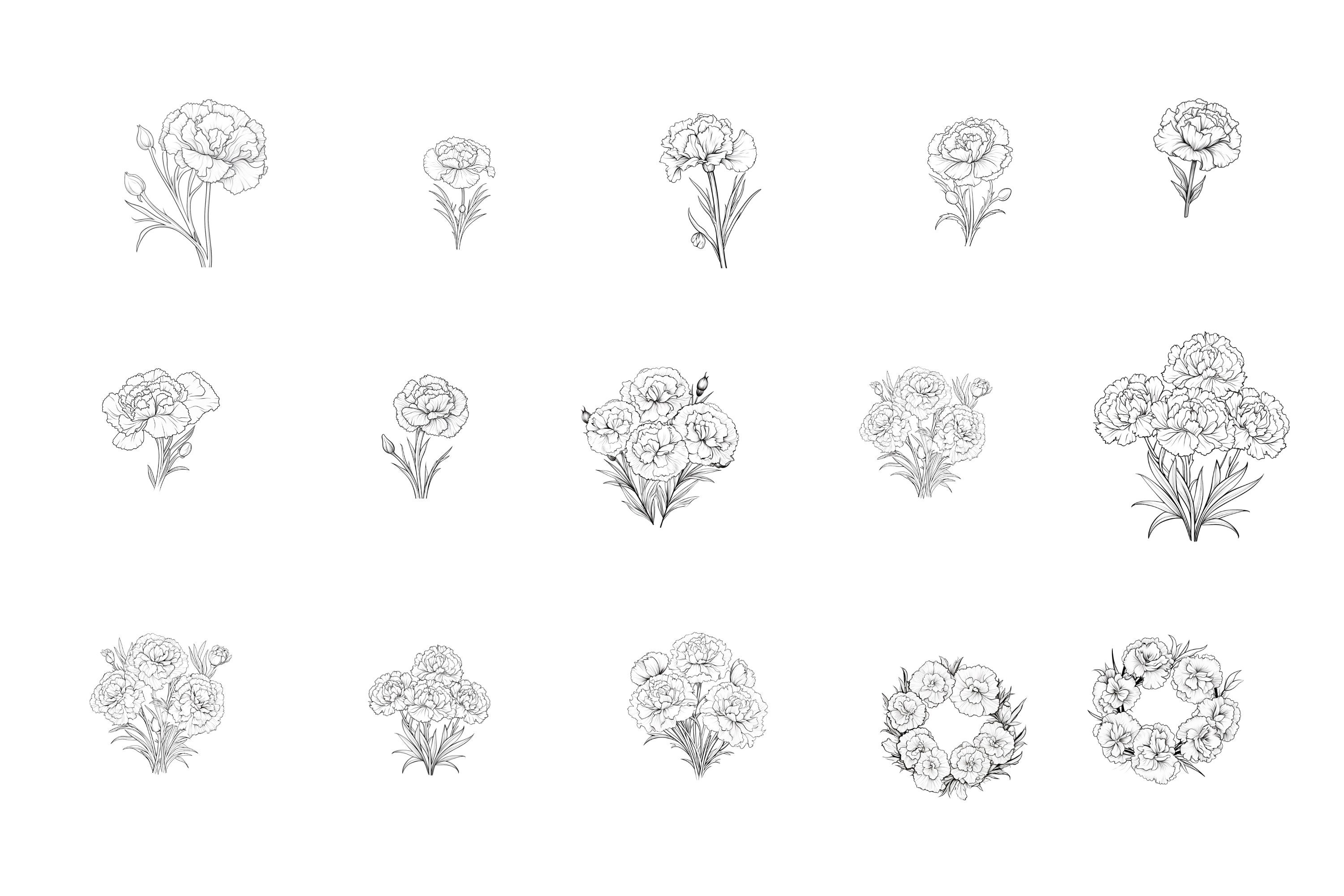 Carnation Procreate Stamp, Procreate Botanical Stamps, Procreate Flower ...