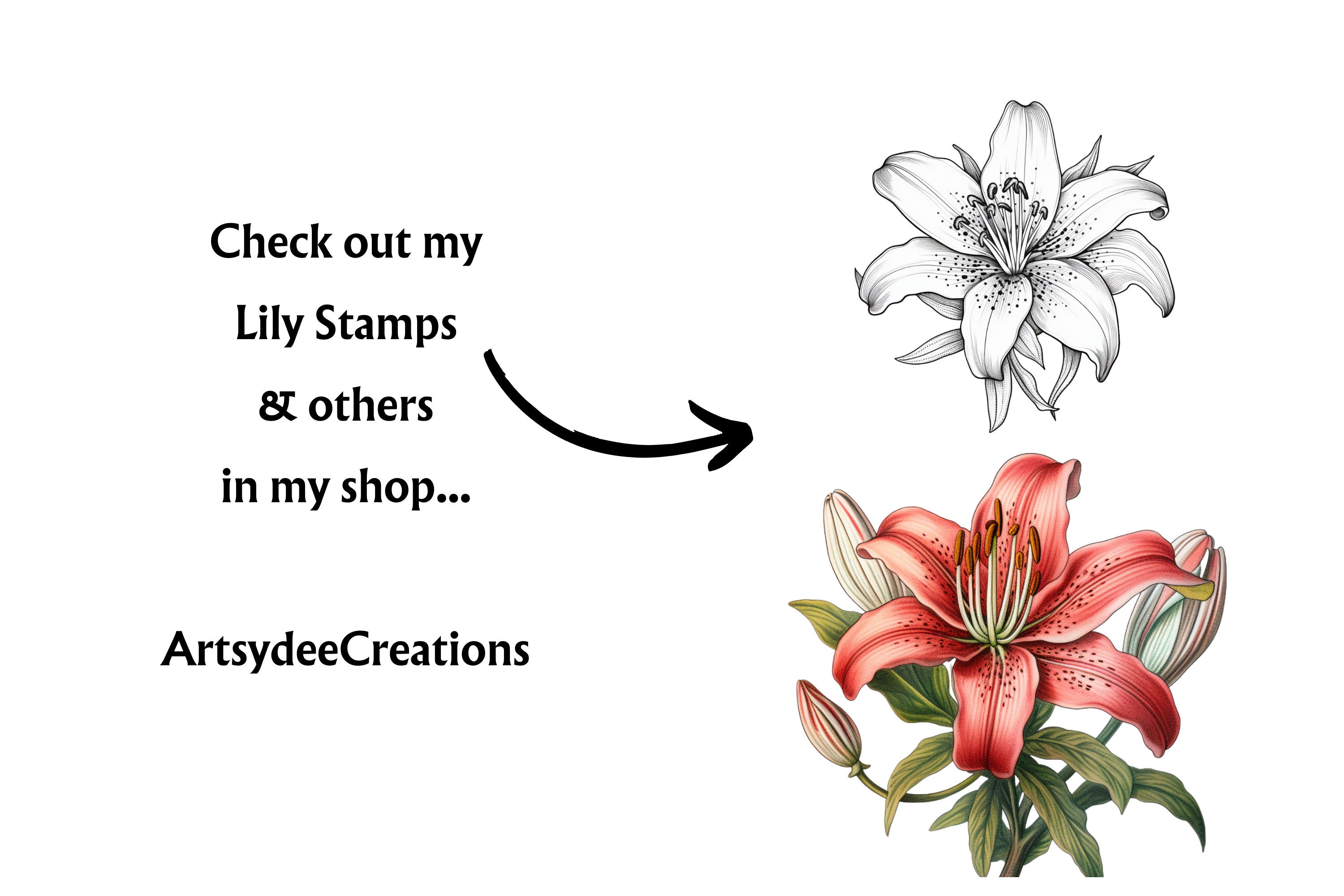 Carnation Digital Stamps, Carnation PNG, Carnation Hand Drawn ...
