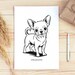 125 Dog Digital Stamps, Dogs PNG Bundle, Dogs Digi Stamps, Dogs Outline ...