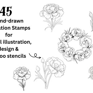 Carnation Procreate Stamp, Procreate Botanical Stamps, Procreate Flower ...