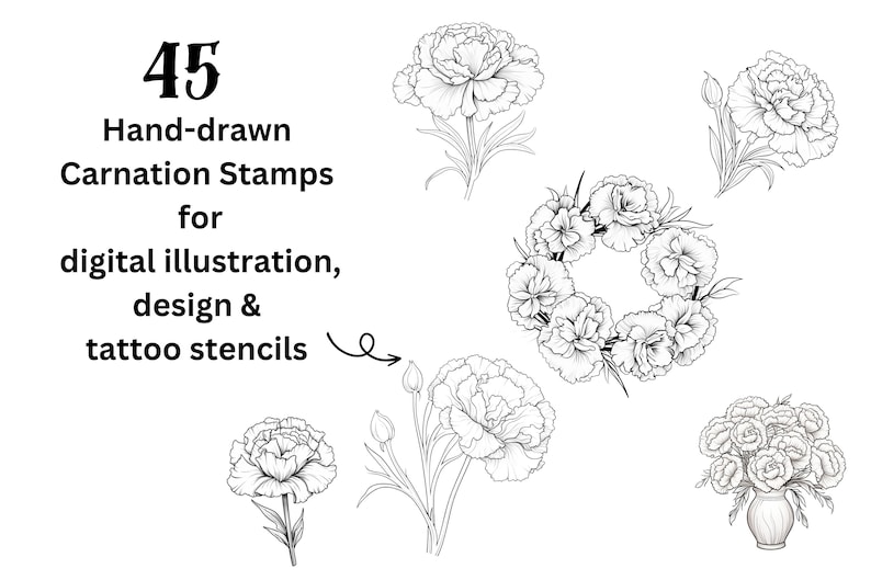 Carnation Procreate Stamp, Procreate Botanical Stamps, Procreate Flower ...