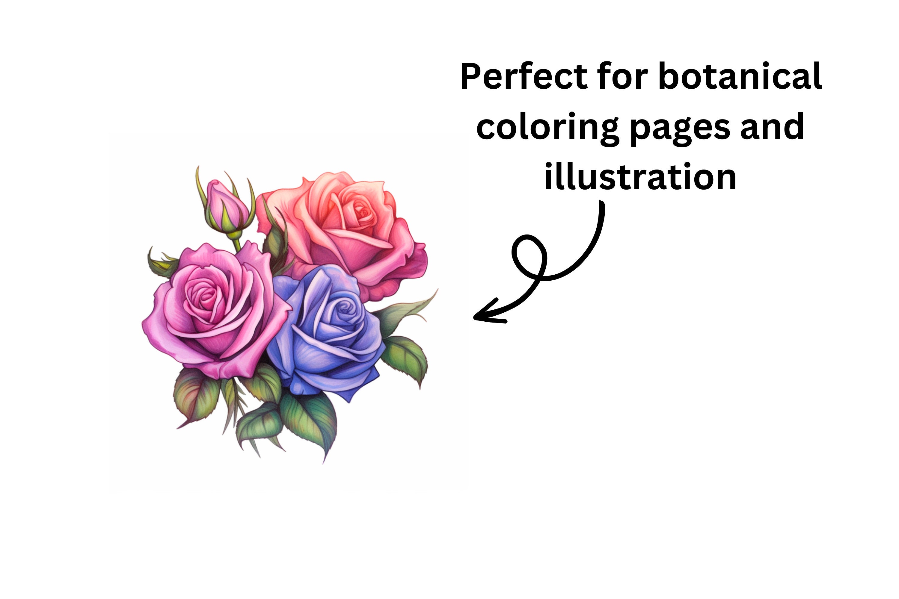 Rose Digital Stamps, Rose Digi Stamp, Digtal Stamps, Digi Stamps, Digi ...