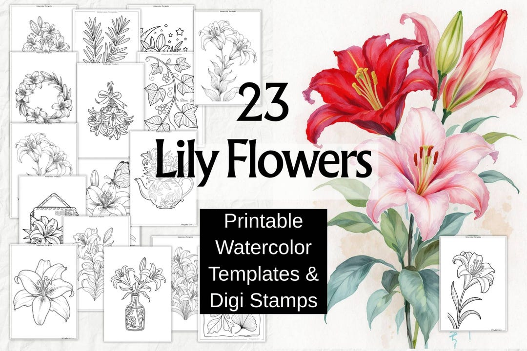 Lily Digital Stamps, Lily Procreate Stamp, Procreate Lily, Flower ...