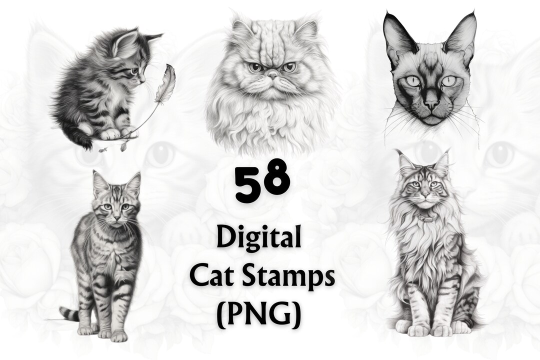Cat Digital Stamp, Digital Cat Stamps, PNG, Digital Stamp, Digi Stamp ...