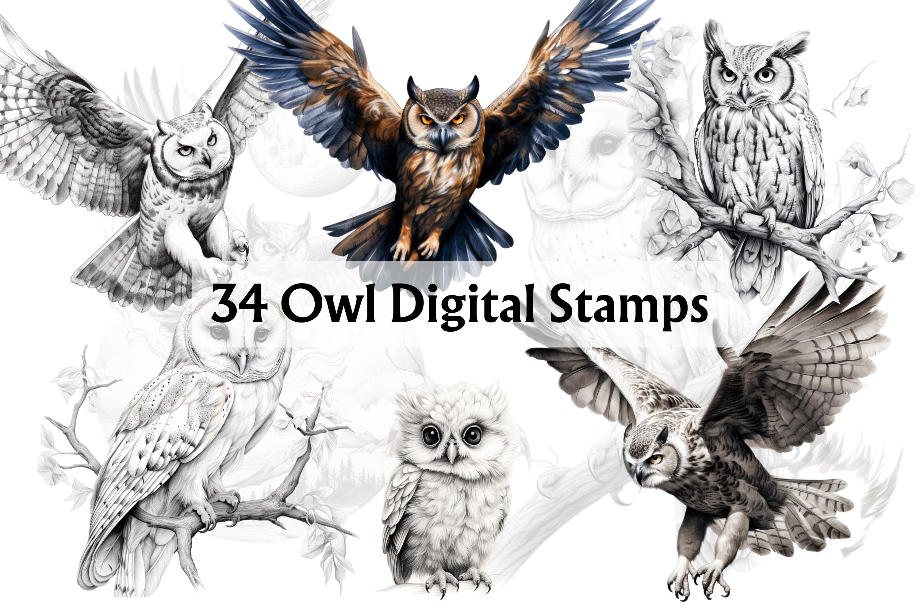 34 Owl Stamps, Owl Clipart, Owl Line Art, Whimsical Owl, Owl Stamp ...