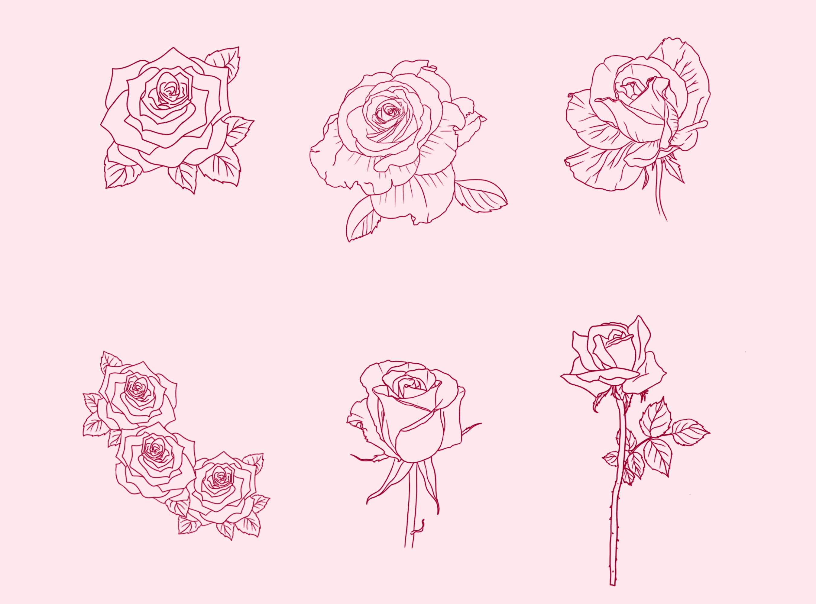 21 Rose Procreate Stamps, Procreate Brushes, Procreate Stamps ...