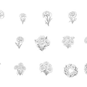 Carnation Digital Stamps, Carnation PNG, Carnation Hand Drawn ...