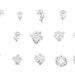 Carnation Digital Stamps, Carnation PNG, Carnation Hand Drawn ...