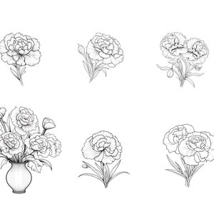 Carnation Digital Stamps, Carnation PNG, Carnation Hand Drawn ...