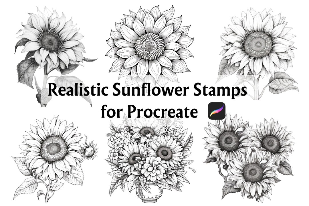 32 Realistic Sunflower Procreate Stamps, Sunflower Procreate Procreate ...