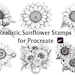 32 Realistic Sunflower Procreate Stamps, Sunflower Procreate Procreate ...