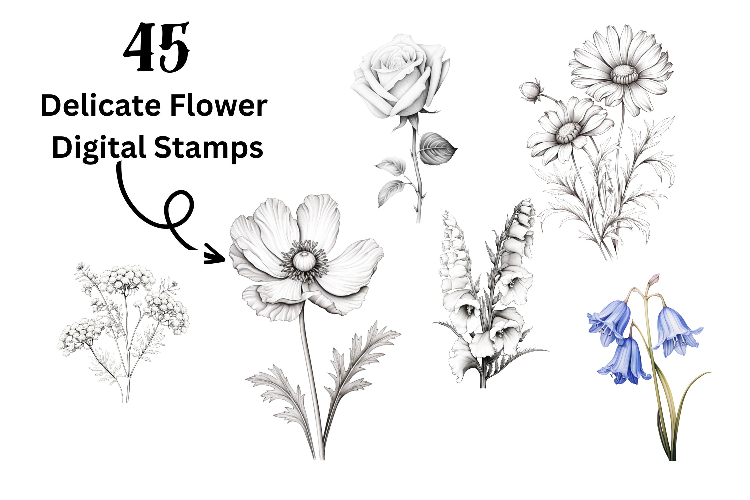 Delicate Flowers Outline Clipart, Delicate Flowers Procreate, Delicate ...