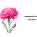 Carnation Procreate Stamp, Procreate Botanical Stamps, Procreate Flower ...