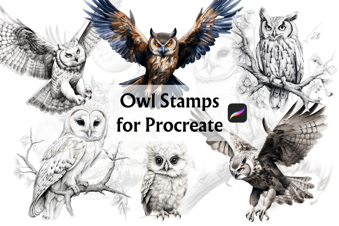 Owl Procreate Stamps, Owl Stamp Brush, Procreate Stamps, Procreate ...